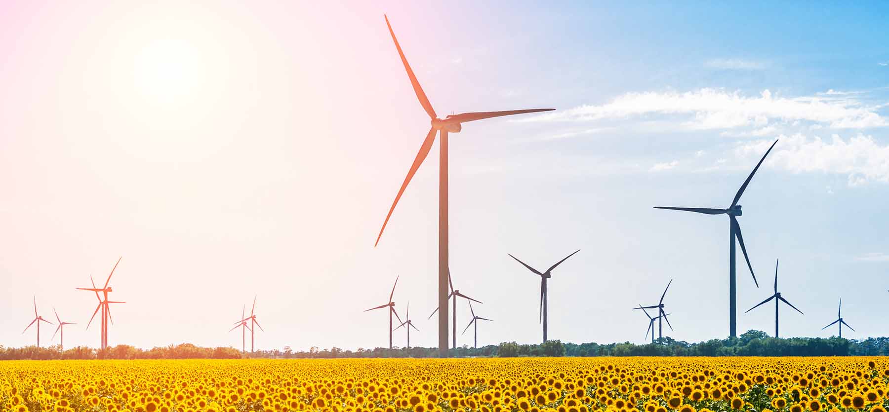 Wind Farm Legislation - General Code